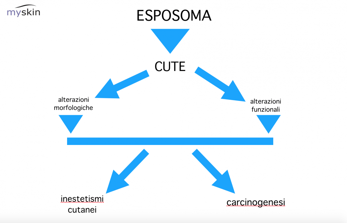 Esposoma | Myskin